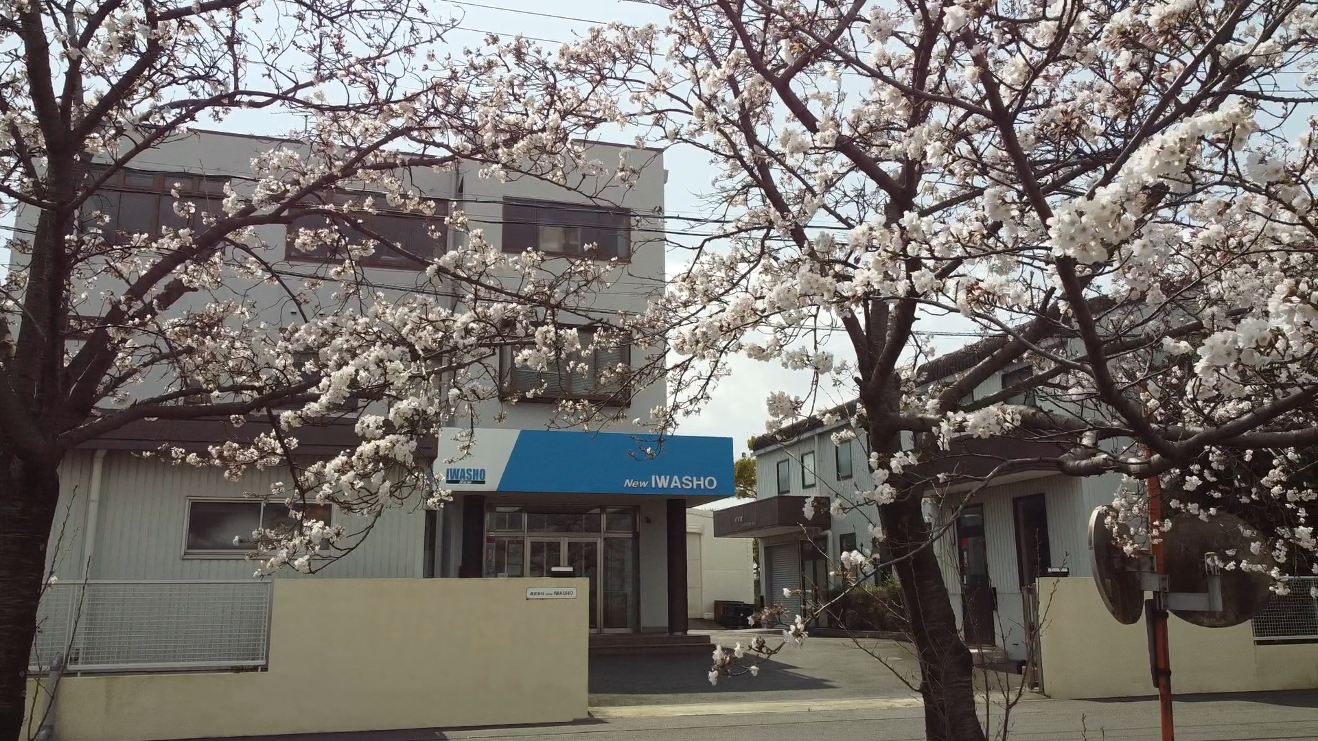 最新情報 | 株式会社 New IWASHO
